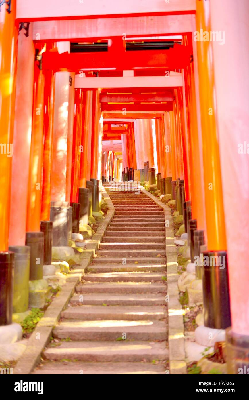 Stone torii gates hi-res stock photography and images - Alamy