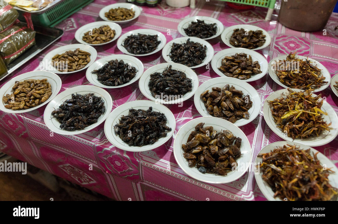 insects exposed in makai market, Vientiane, Laos Stock Photo - Alamy