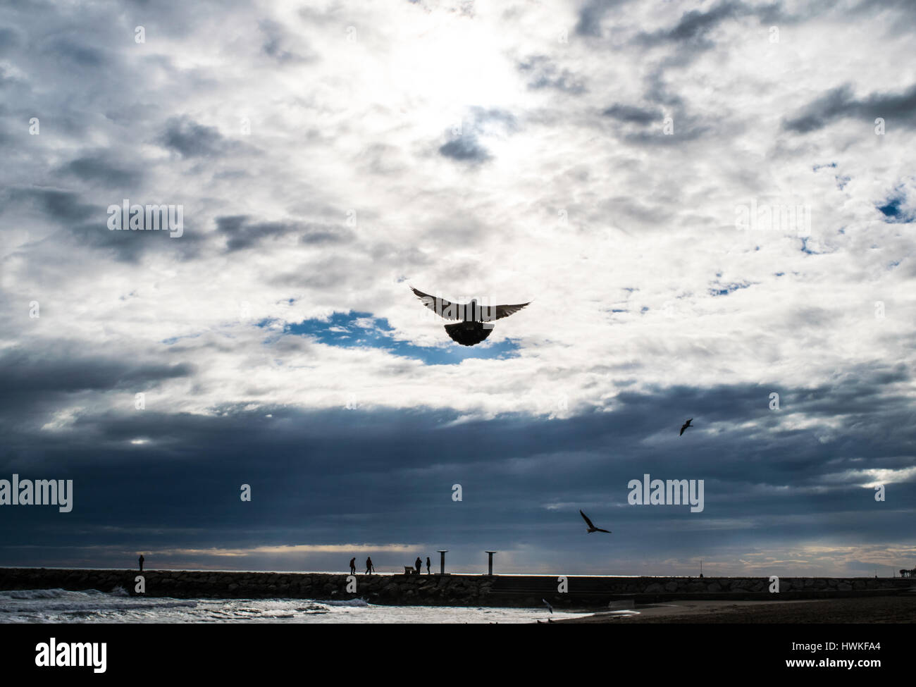 Holy spirit bird flies in blue sky, bright light shines from heaven ...