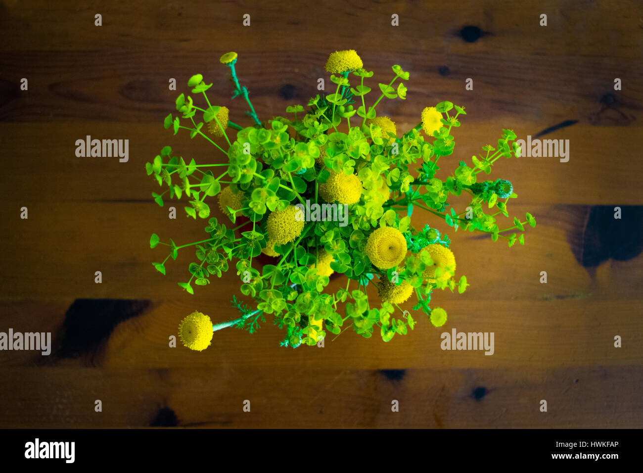 Bouquet of spring beautiful fresh yellow flowers from the top on the ...