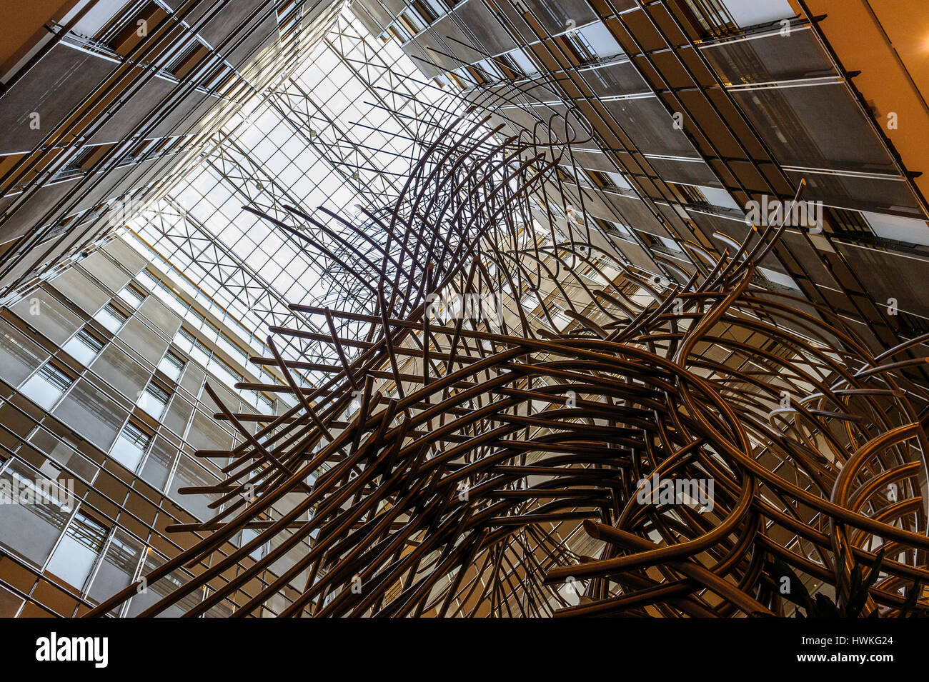 Tree of nations hi-res stock photography and images - Alamy