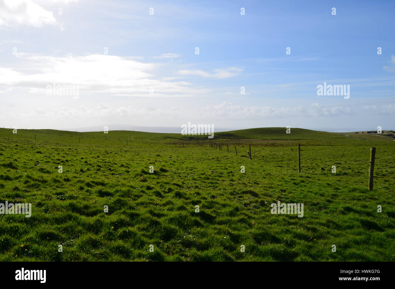 Ireland's grass field abutting the Cliff's of Moher in Ireland Stock ...