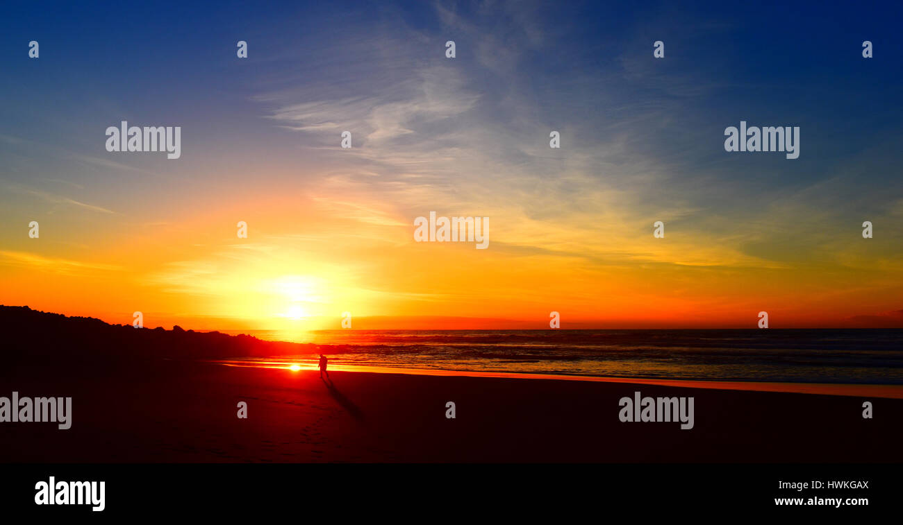 Camel breath hi-res stock photography and images - Alamy