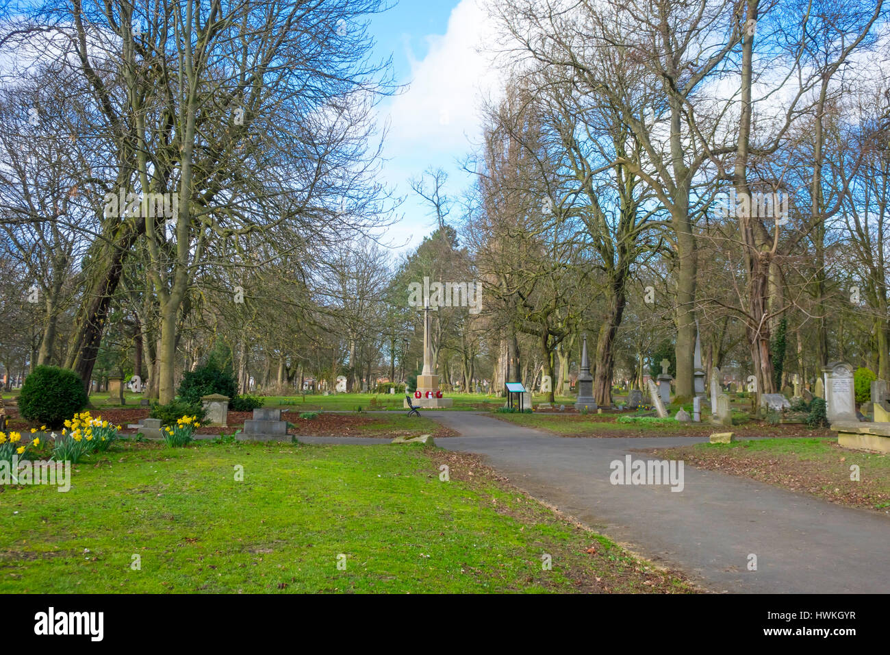 Spring sunlight in the atmospheric Linthorpe Cemetery Nature Reserve ...