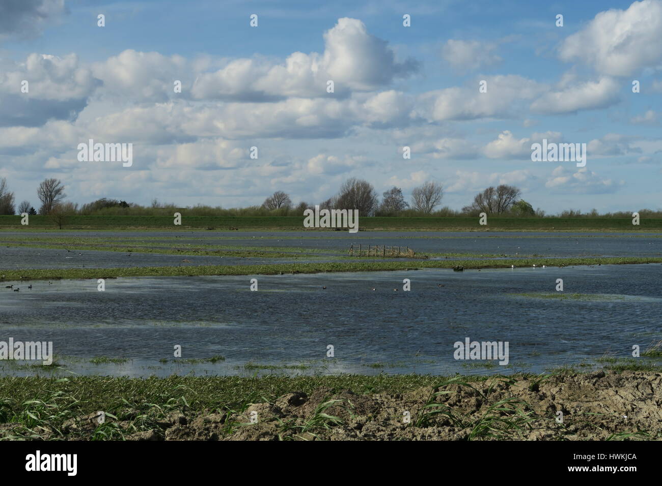 Ouse Washes at Sutton Gault in Cambridgeshire Stock Photo - Alamy