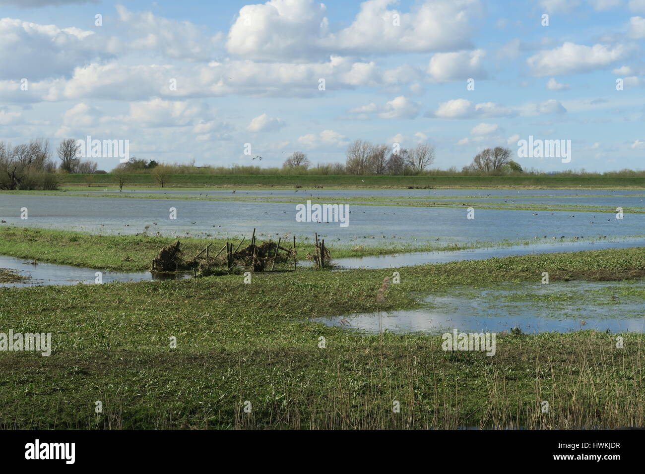 Ouse Washes at Sutton Gault in Cambridgeshire Stock Photo - Alamy