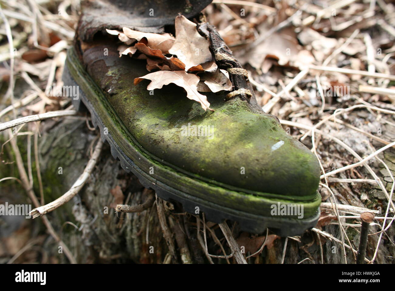 old destroyed shoe Stock Photo - Alamy