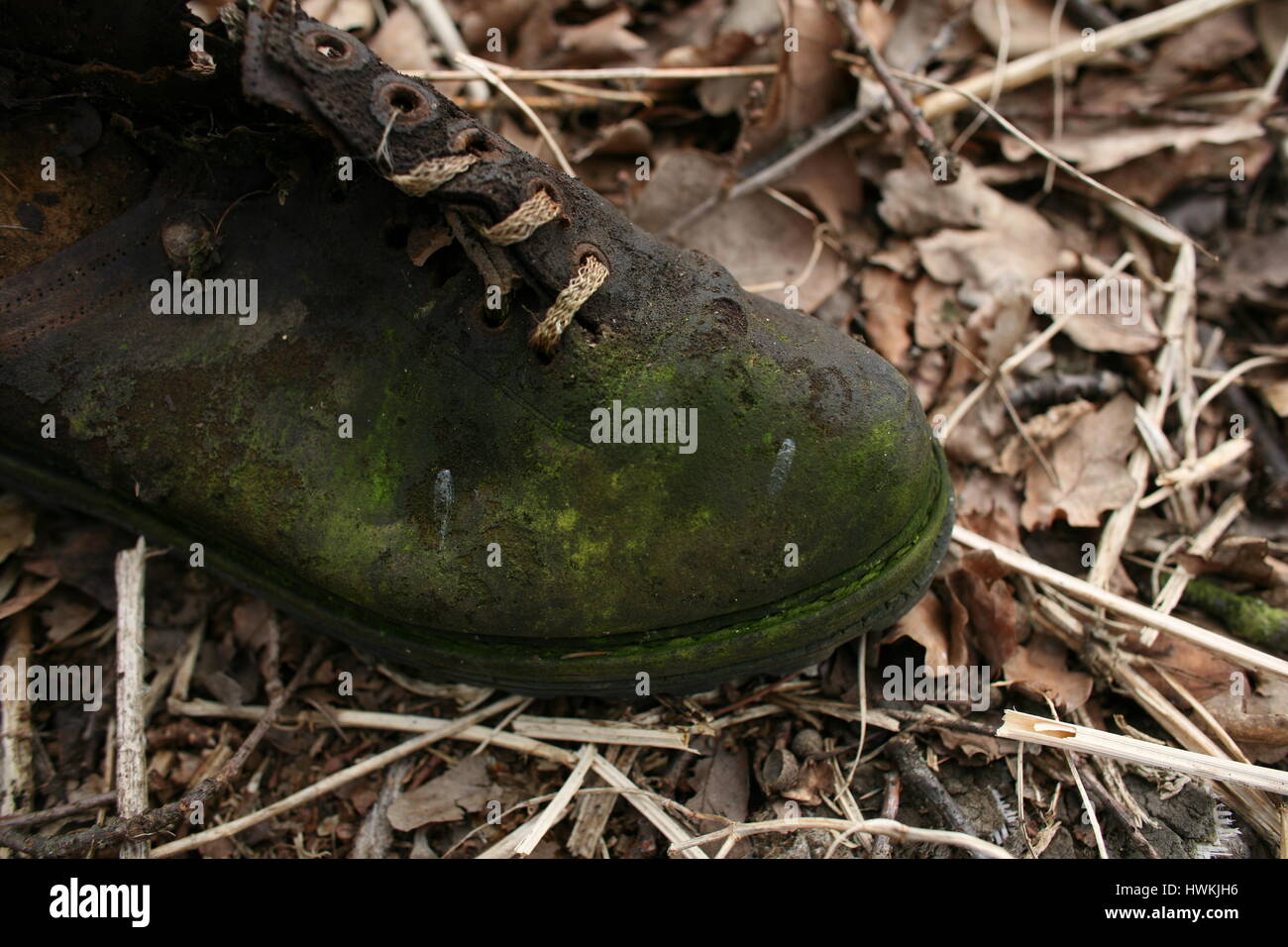 Destroyed leather shoe hi-res stock photography and images - Alamy