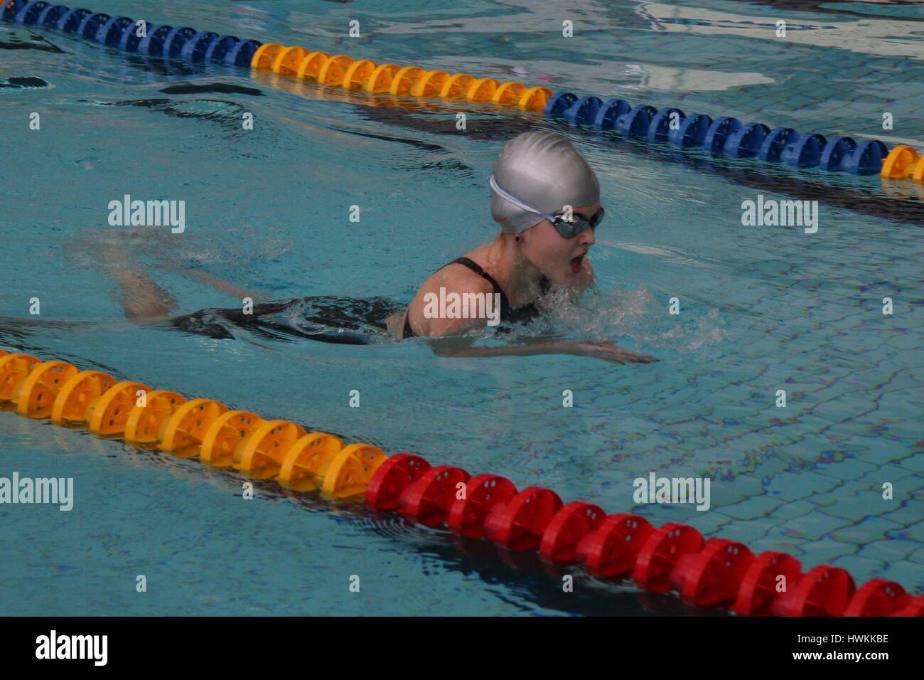 Swimming in the pool. Training in swimming Stock Photo - Alamy