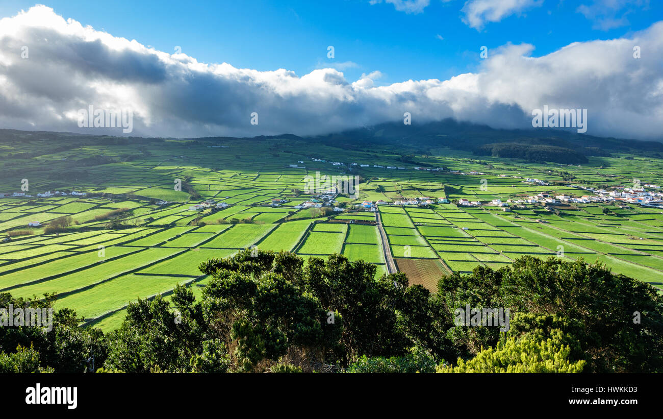 High contrast backlit of farm fields in the Terceira island, Azores ...