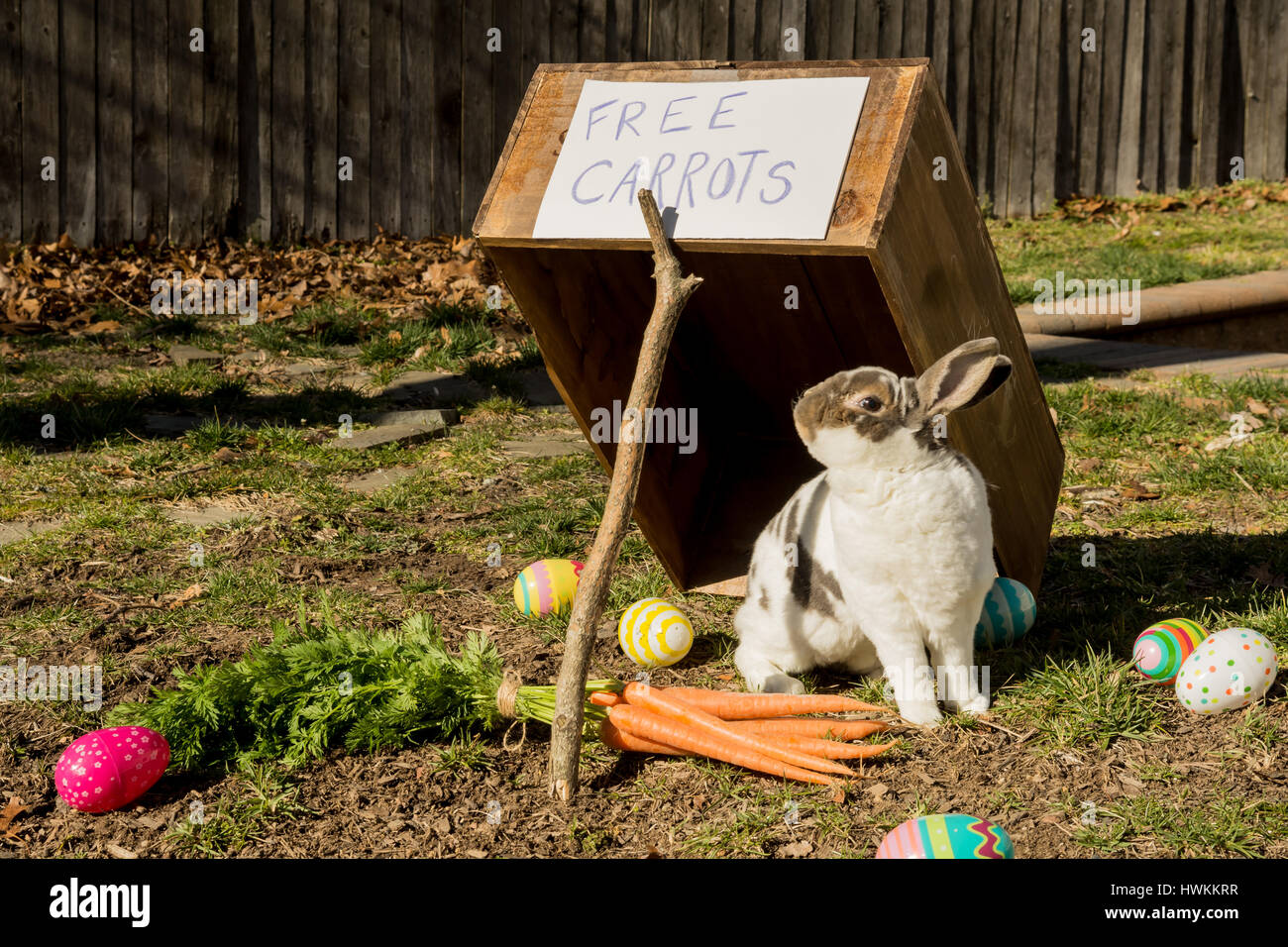 Catching the Easter Bunny Stock Photo - Alamy