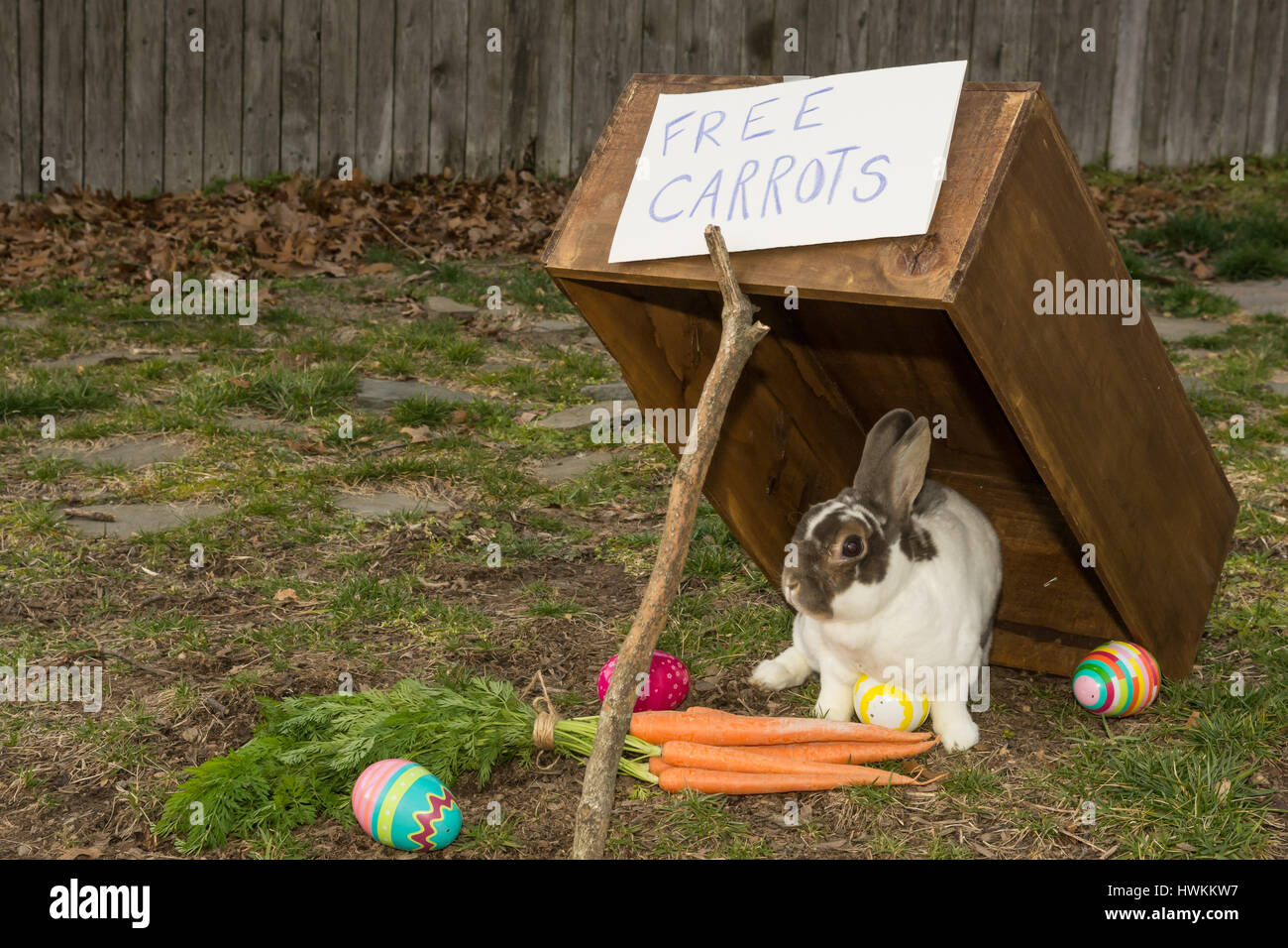 Catching the Easter Bunny Stock Photo - Alamy