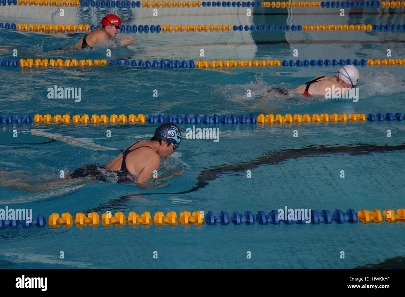 Swimming in the pool. Training in swimming Stock Photo - Alamy