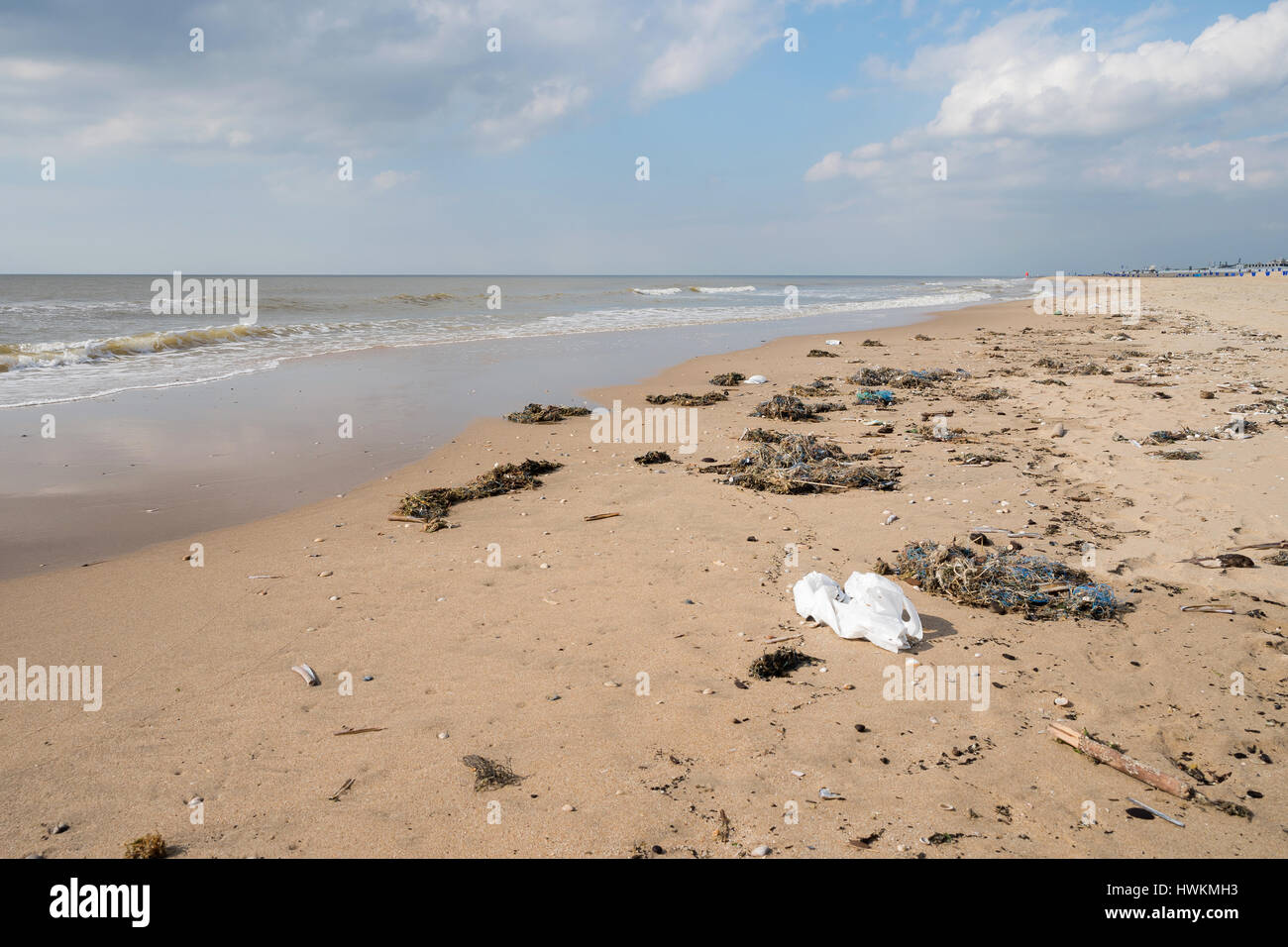 pollution at Dutch North Sea coast Stock Photo - Alamy
