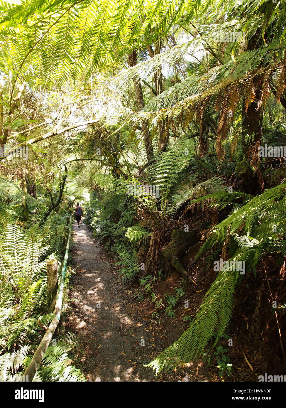 1000 steps trail hi-res stock photography and images - Alamy