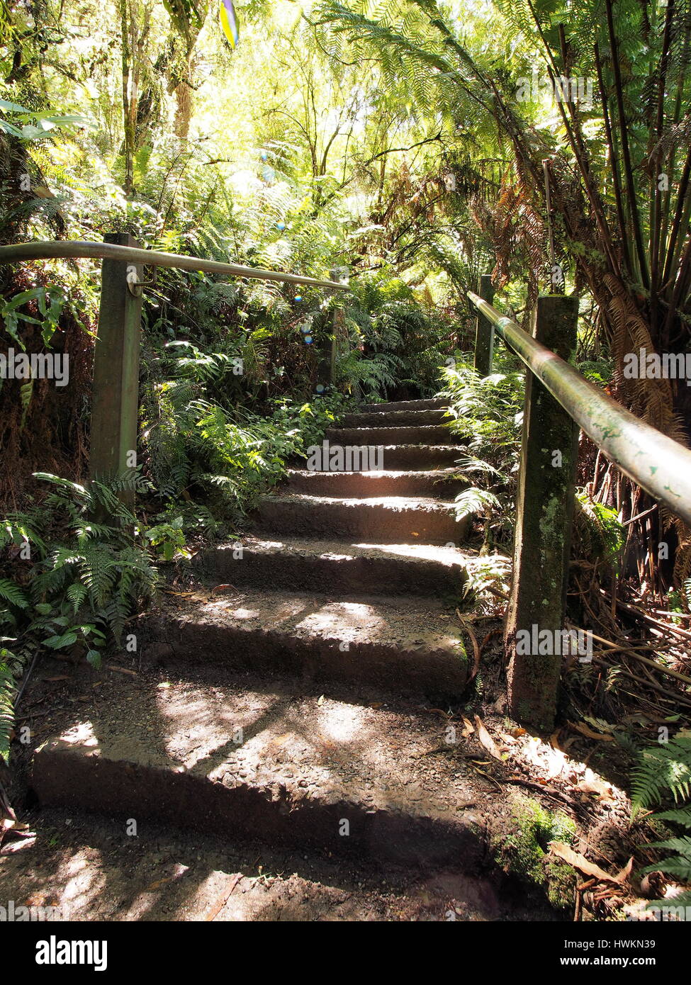 View down the 1000 steps at the Dandenong ranges, Melbourne 2015 Stock ...