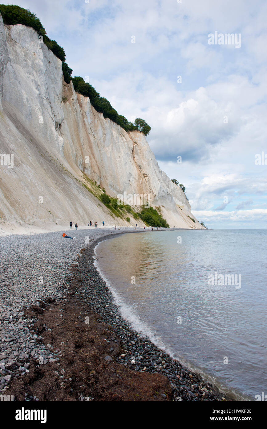 The white cliffs of Mons Klint in Denmark Stock Photo - Alamy