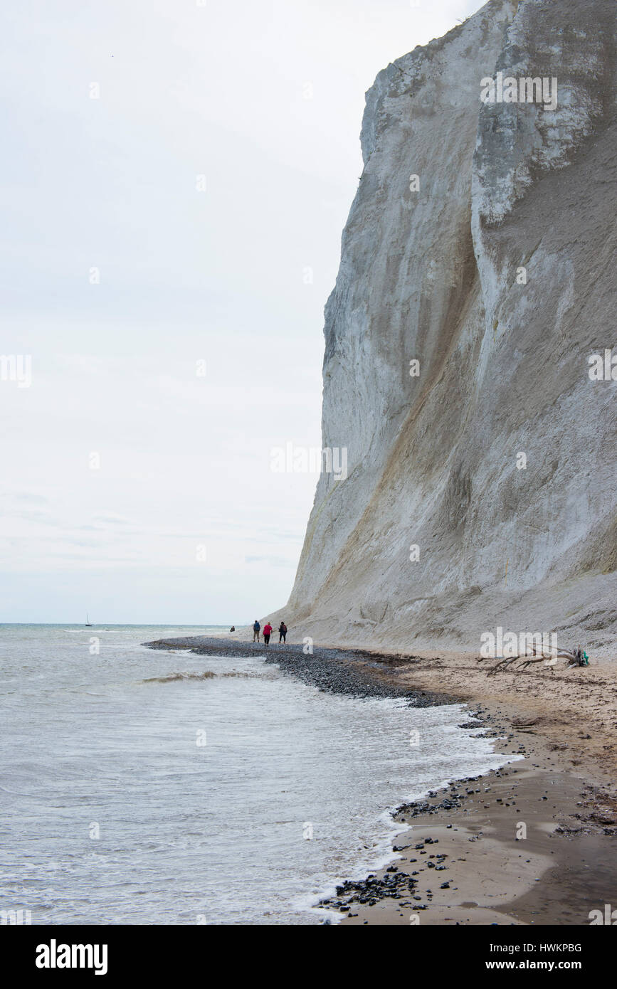 The white cliffs of Mons Klint in Denmark Stock Photo - Alamy