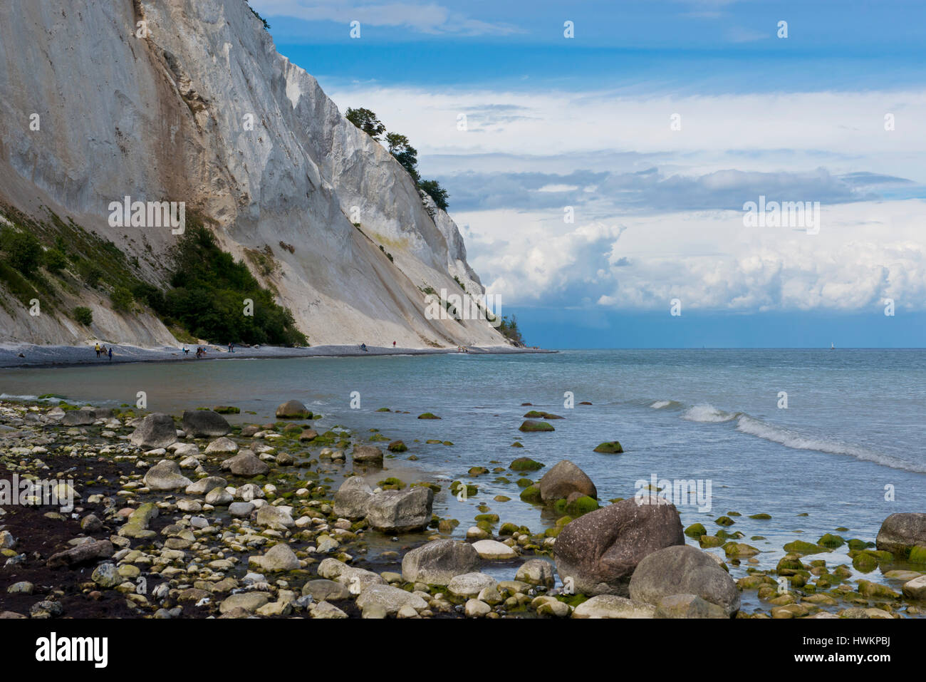 The white cliffs of Mons Klint in Denmark Stock Photo - Alamy