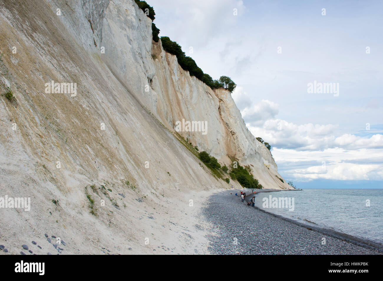 Chalk cliff mons klint hi-res stock photography and images - Alamy