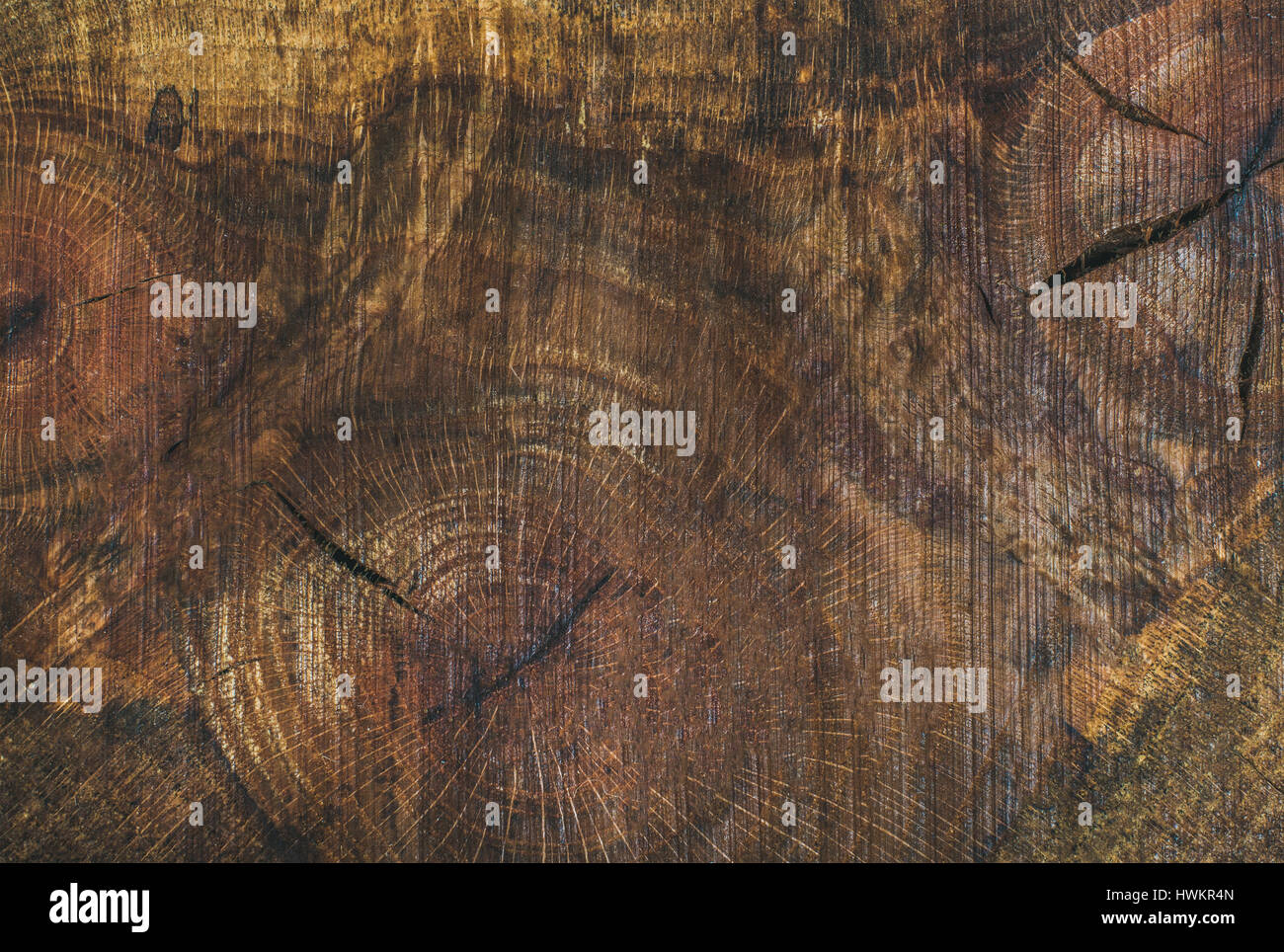 Texture saw cut of the wood logs. Almond wood slab board texture and ...