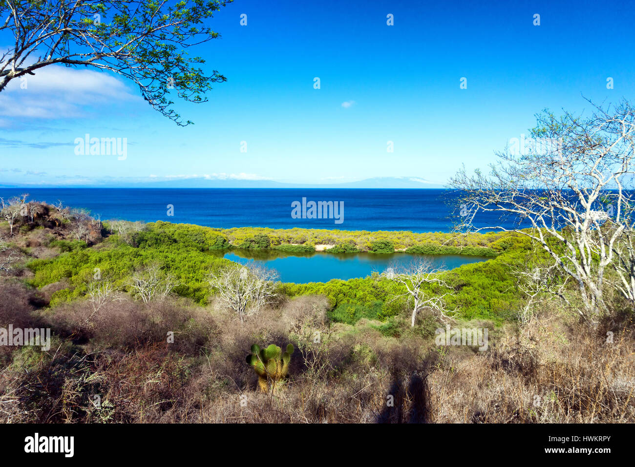 Santiago Island landscape view in the Galapagos Islands in Ecuador ...