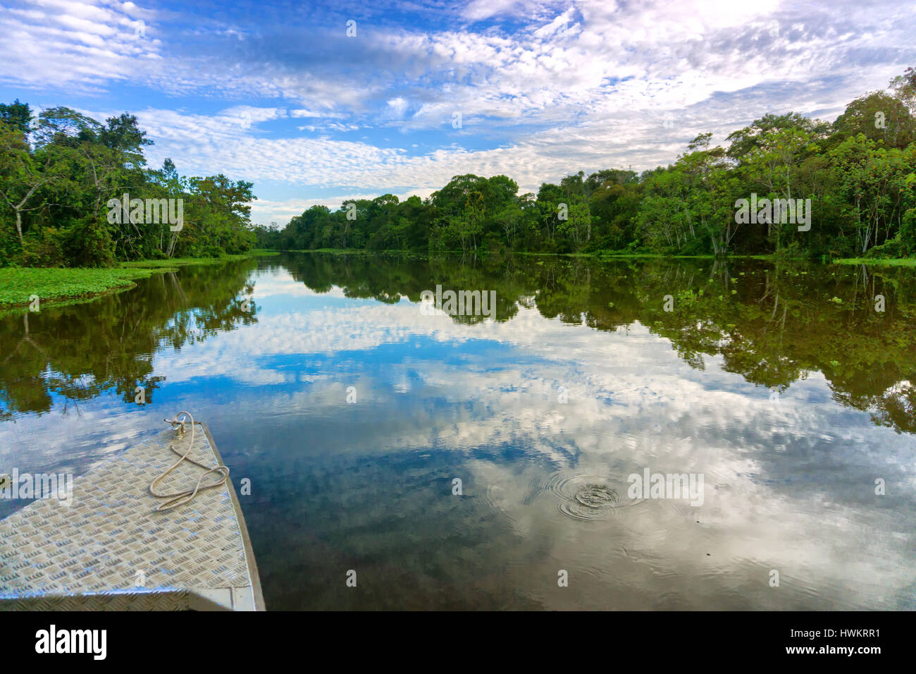 Front of a boat on a river in the Amazon Rain Forest near Iquitos, Peru ...