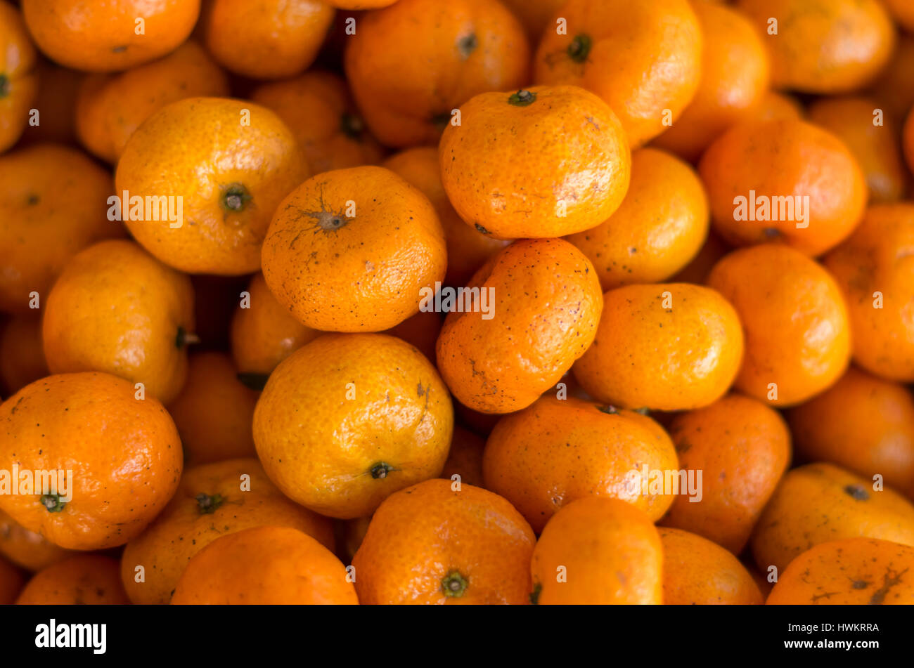 Citrus display hi-res stock photography and images - Alamy