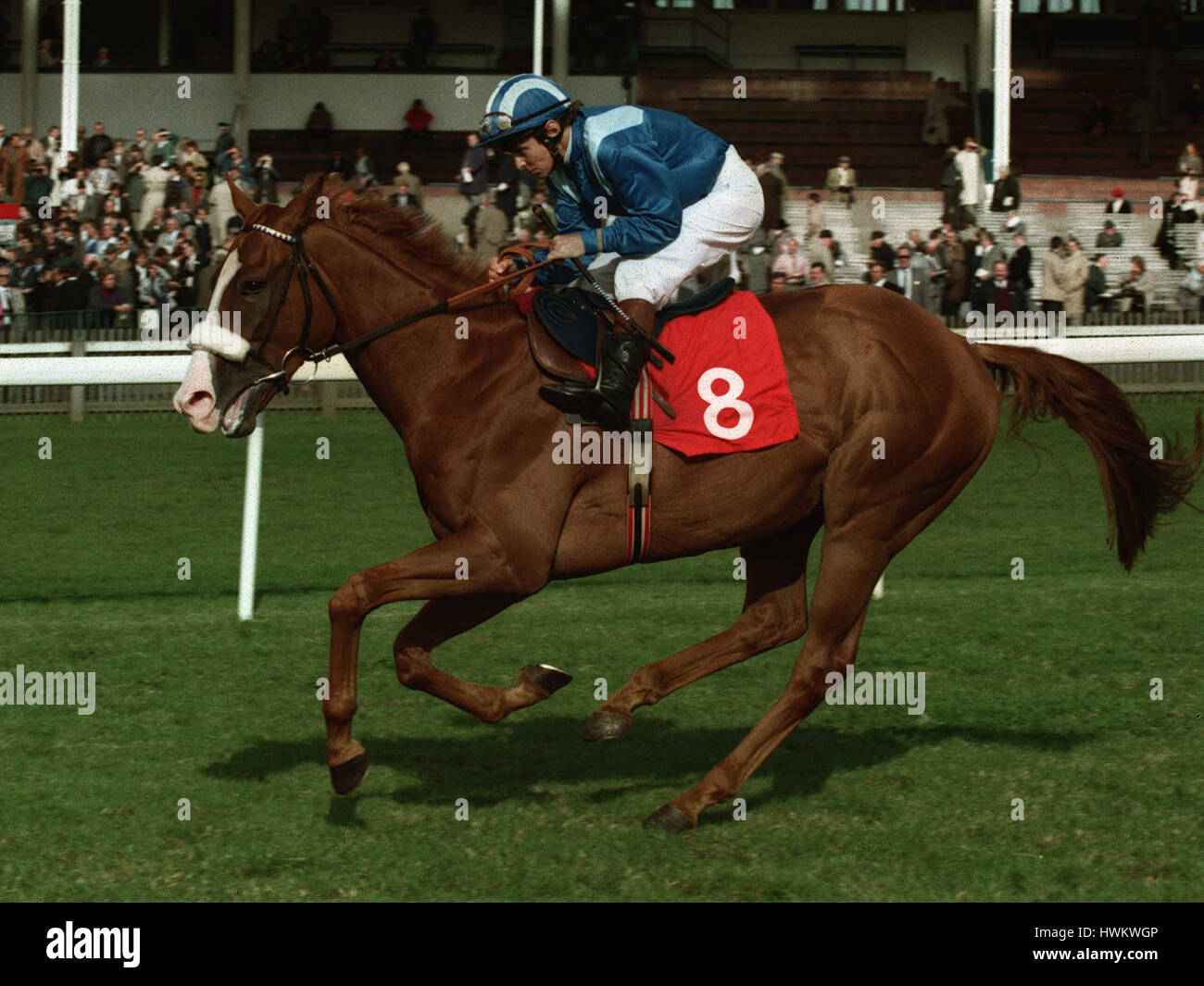 Watani hi-res stock photography and images - Alamy