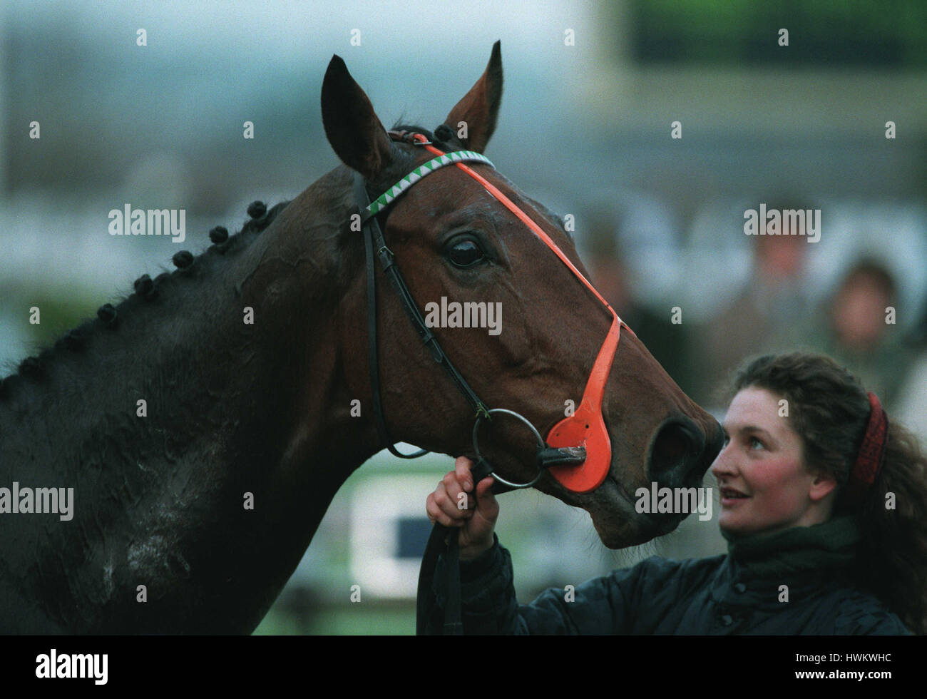 STAUNCH FRIEND RACEHORSE 30 November 1993 Stock Photo - Alamy