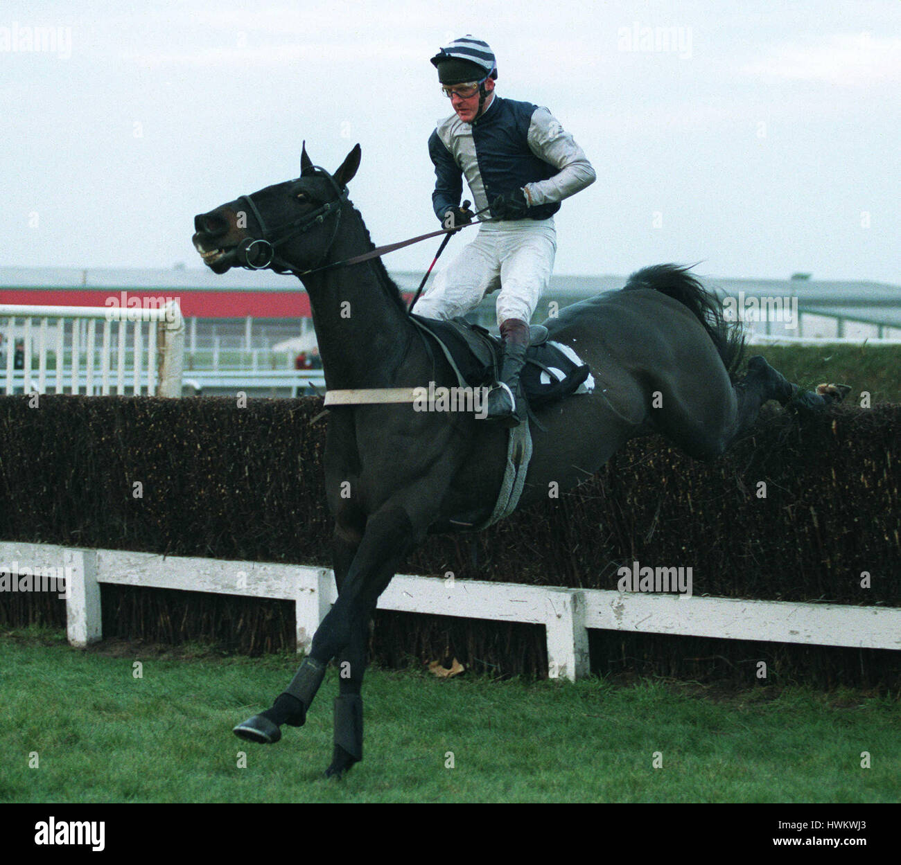 Lucky 1993 hi-res stock photography and images - Alamy