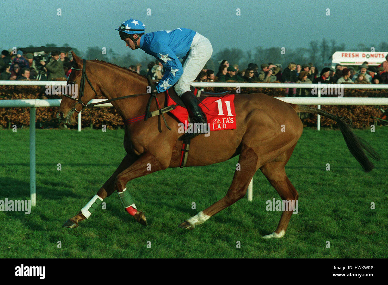 Zetas hi-res stock photography and images - Alamy