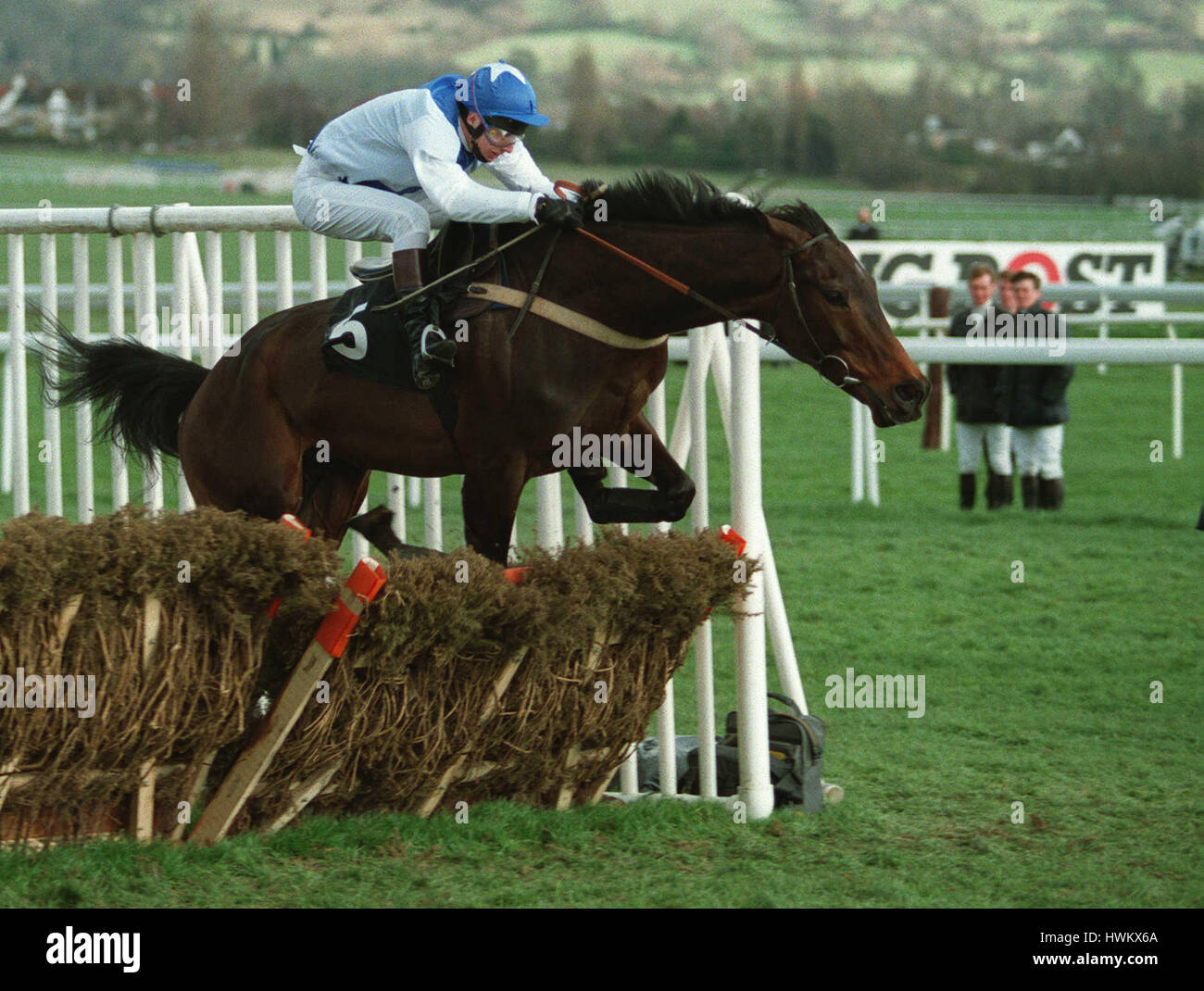 Danoli horse hi-res stock photography and images - Alamy