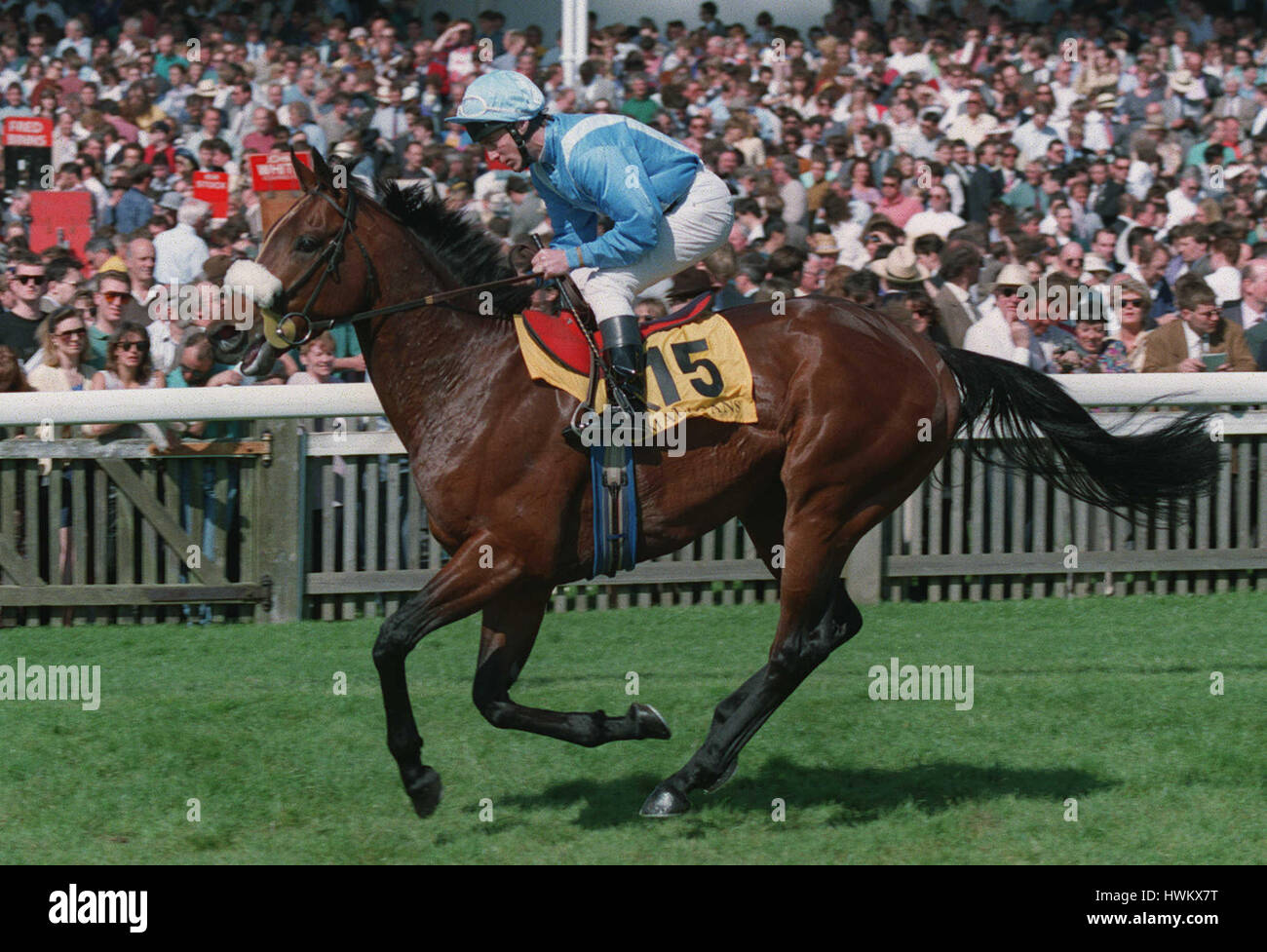 Rafferty's rules hi-res stock photography and images - Alamy