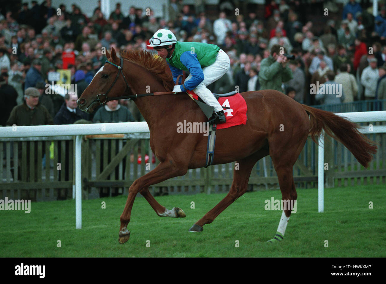 COLONEL COLLINS. RIDDEN BY MICHAEL ROBERTS 18 April 1994 Stock Photo ...