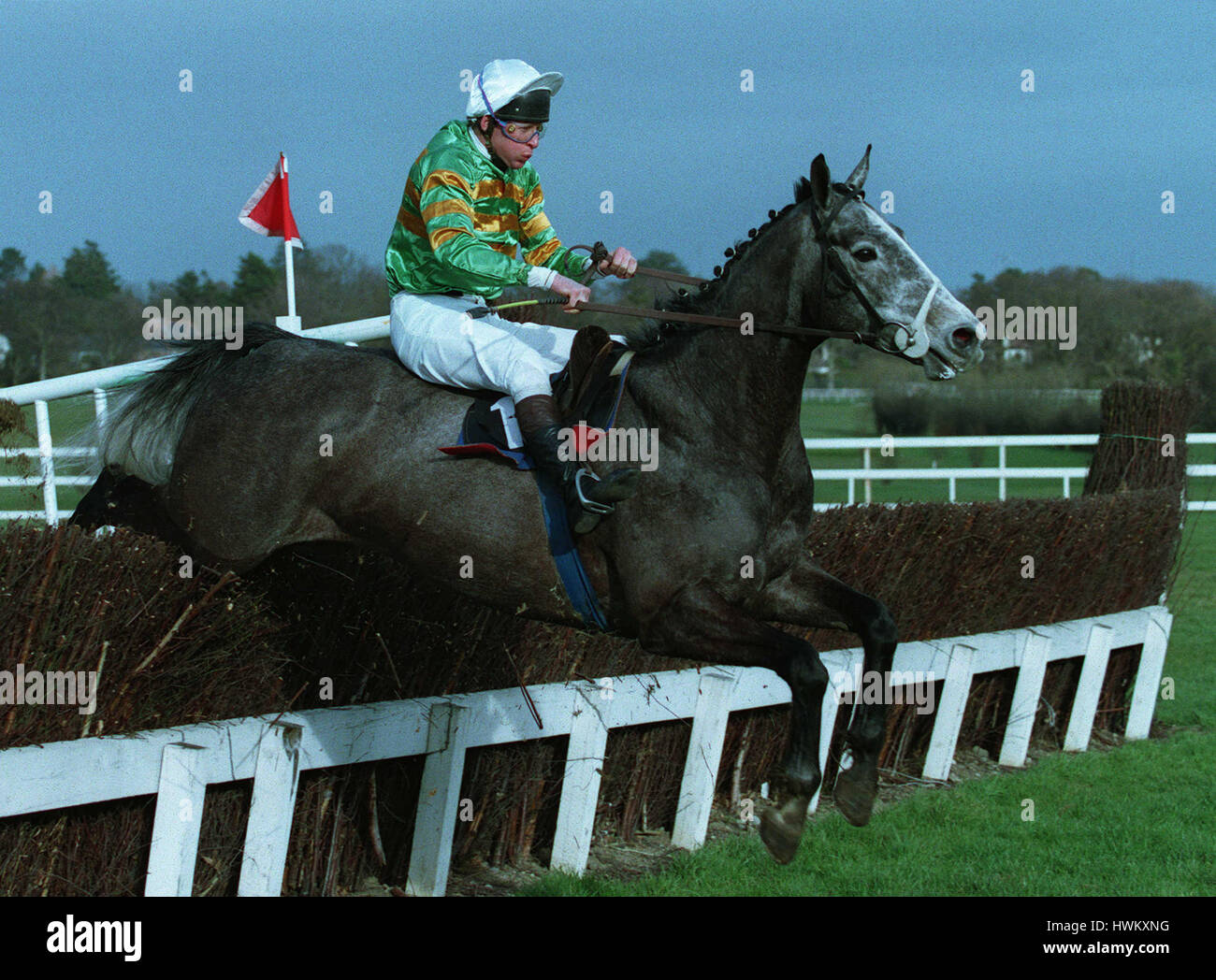 ALL THE ACES RIDDEN BY TOM TAAFFE (LAST WNR 11 March 1994 Stock Photo ...
