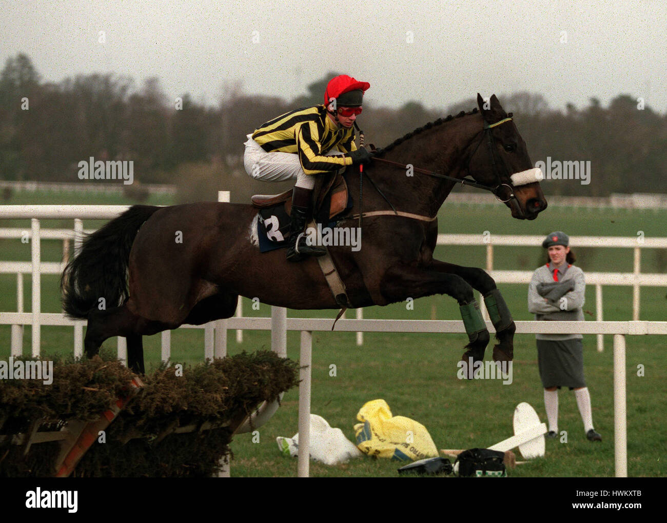 Persian p hi-res stock photography and images - Alamy