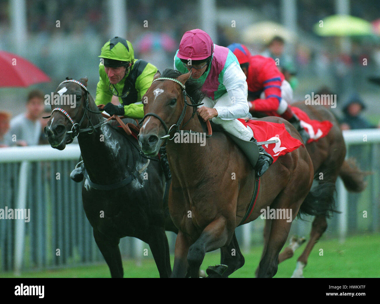 WAVIAN WINS AT YORK 31.8.94 RIDDEN BY PAT EDDERY 01 September 1994 ...