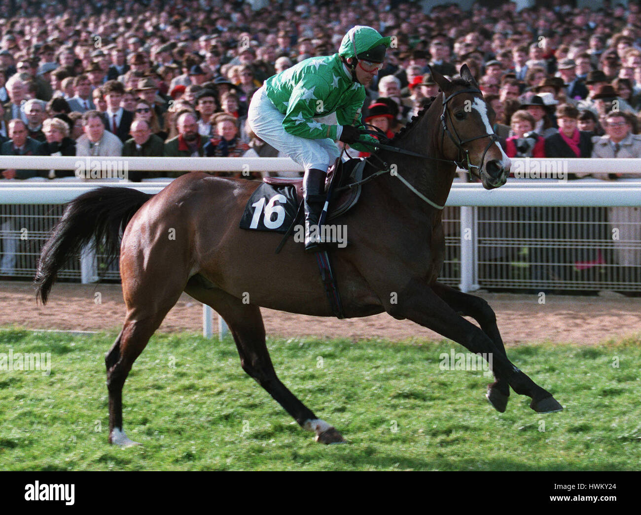 Tim llewellyn hi-res stock photography and images - Alamy