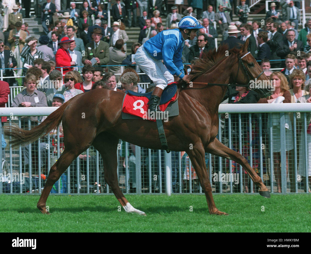 Wijdan hi-res stock photography and images - Alamy