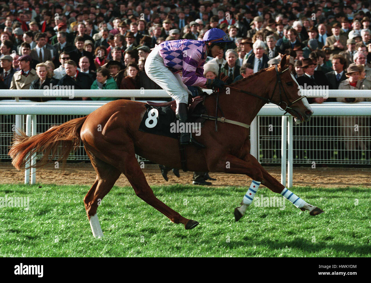 MERCHANT HOUSE RIDDEN BY RICHARD GUEST 28 March 1994 Stock Photo - Alamy