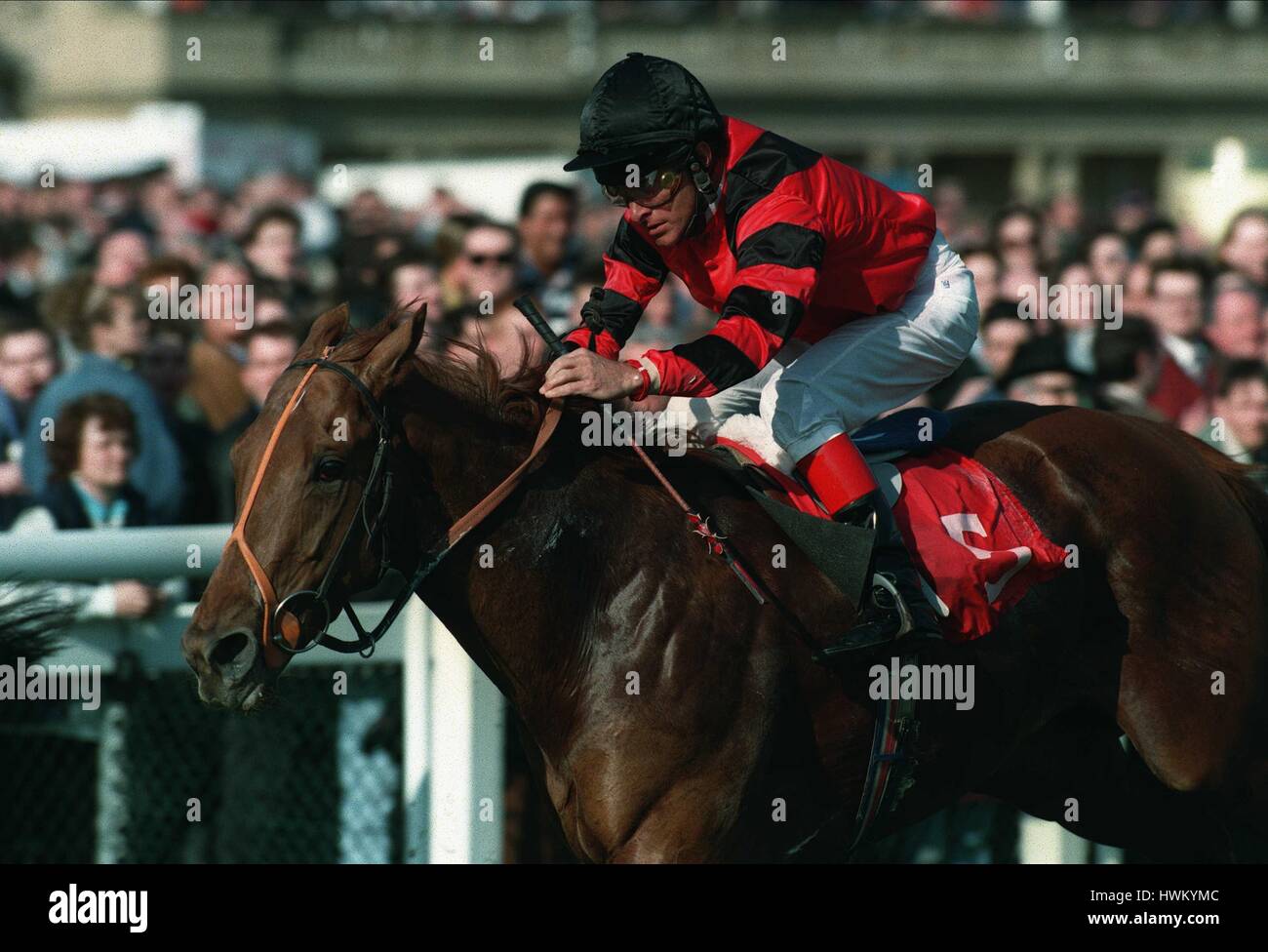 PAT EDDERY JOCKEY 30 March 1994 Stock Photo - Alamy