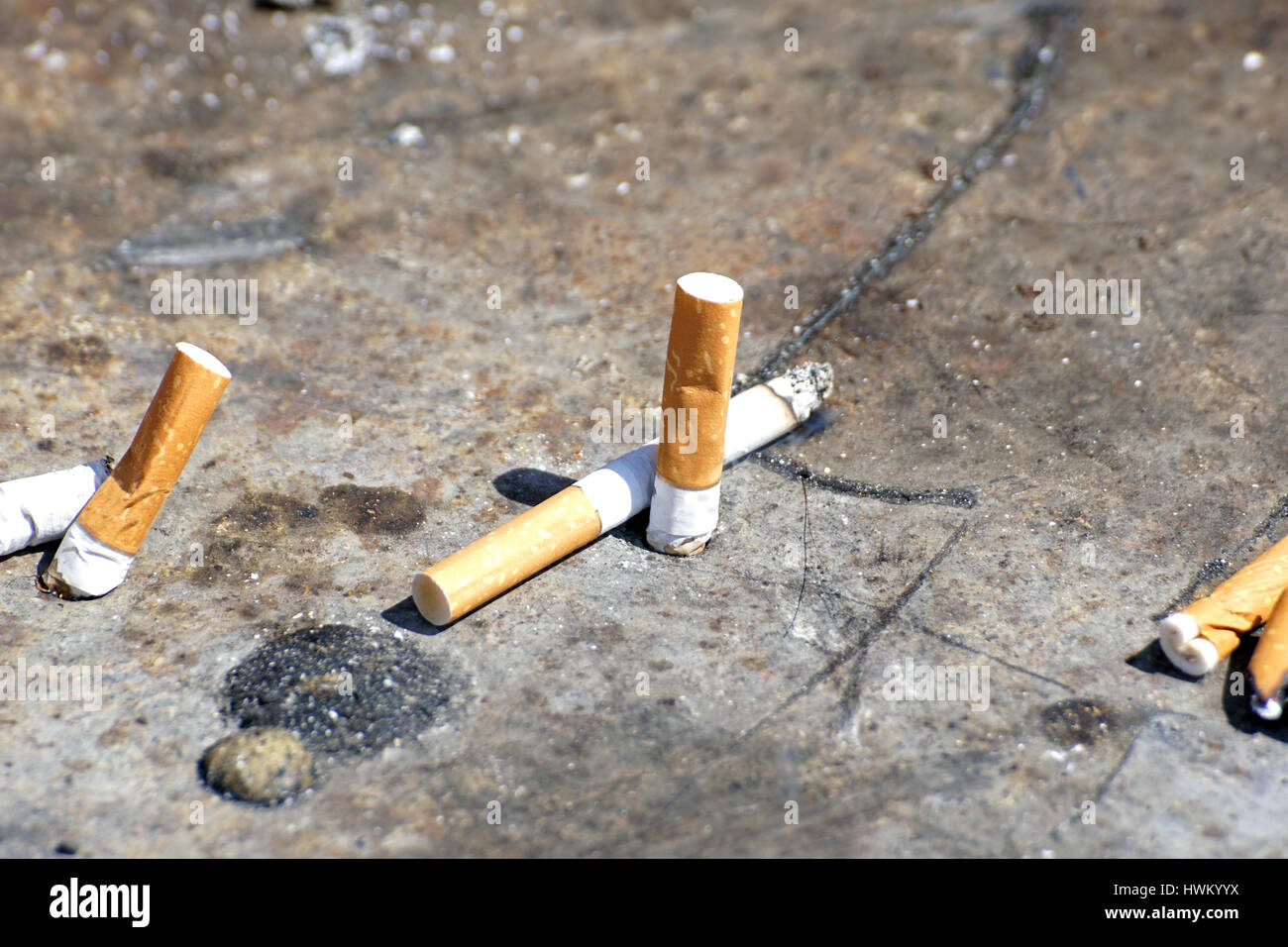 Used cigarettes in an ashtray Stock Photo - Alamy