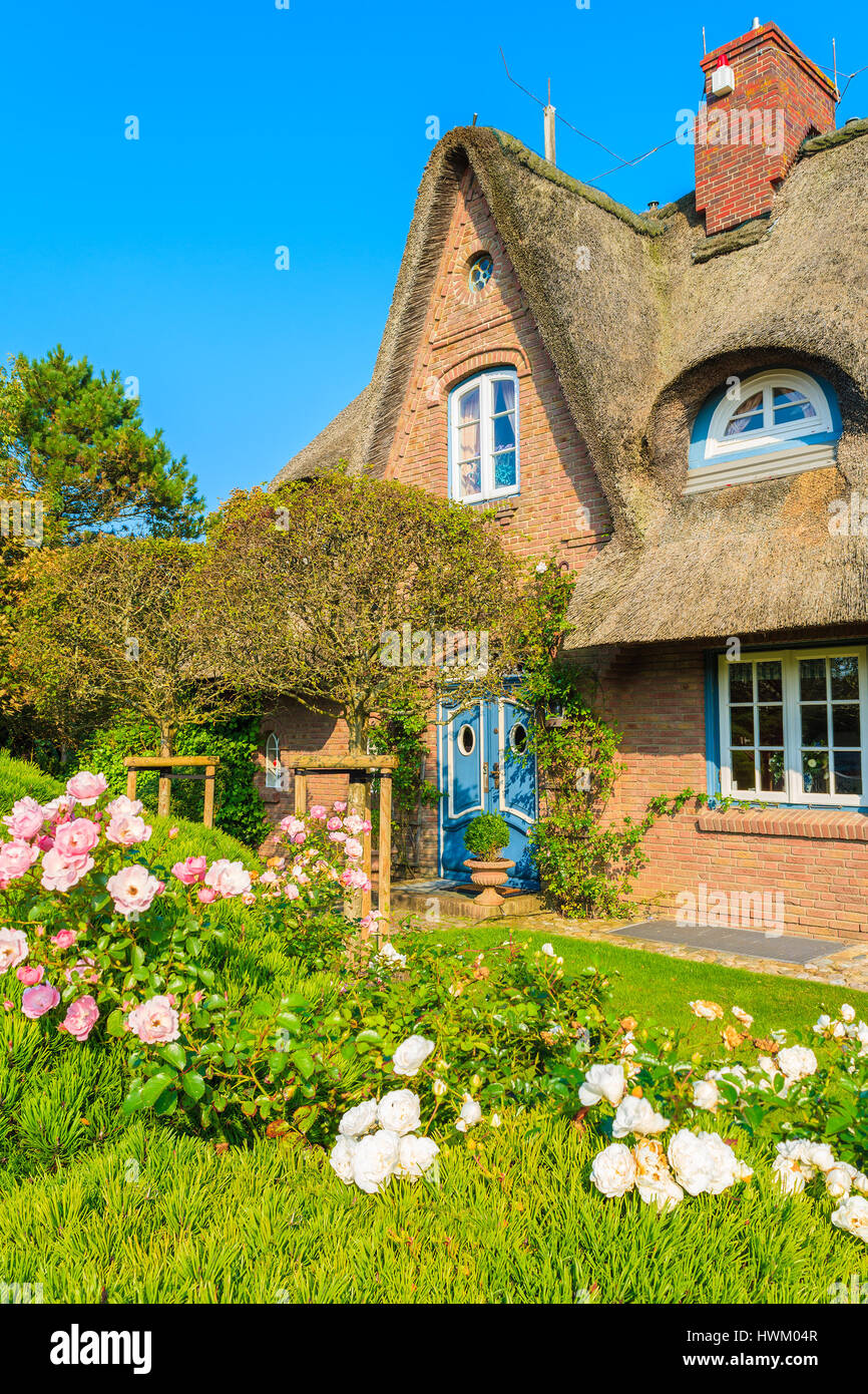 Typical Frisian house with straw roof in Kampen village on Sylt island ...
