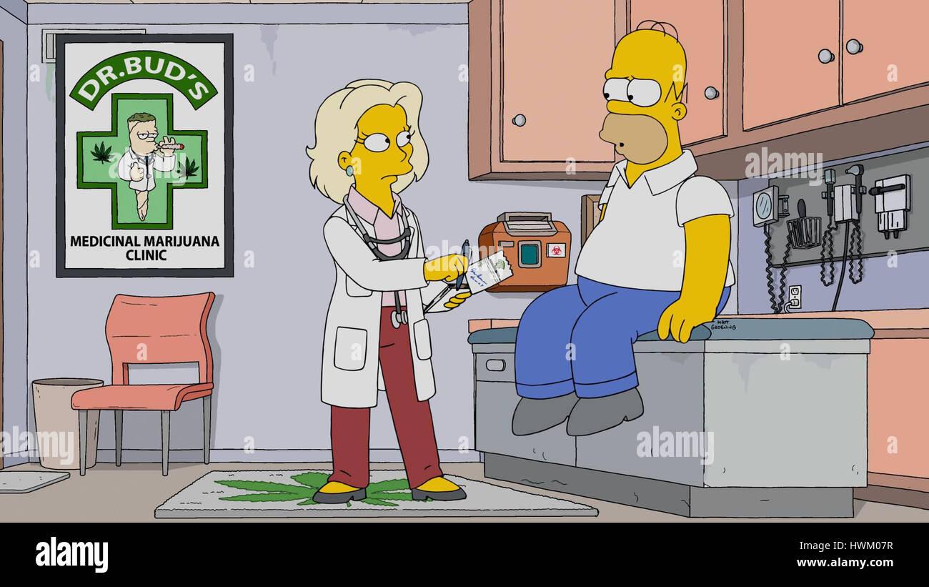 THE SIMPSONS, Homer Simpson (right), 'Pork and Burns', (Season 28, ep ...