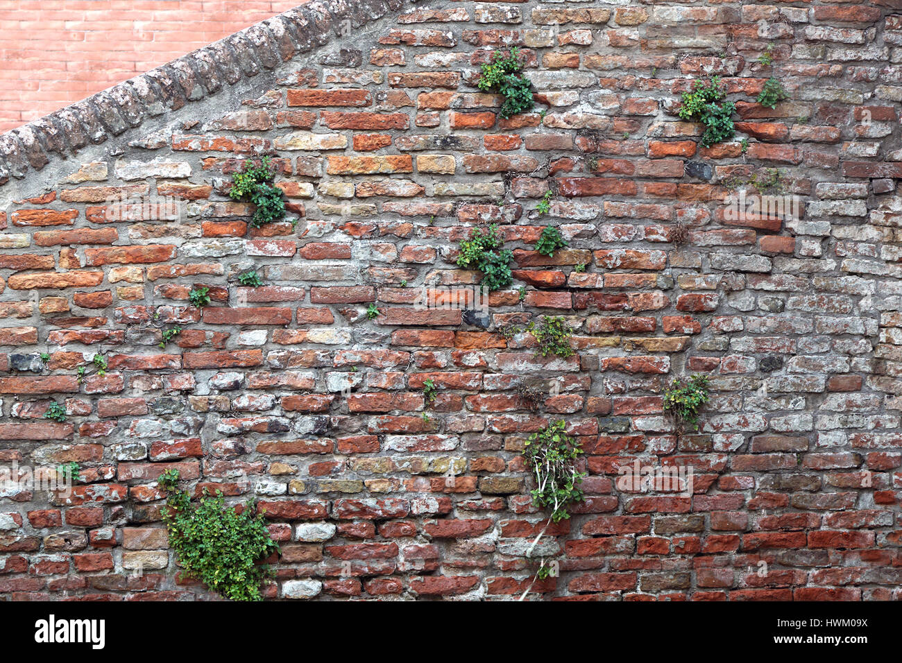 Brick wall face view Stock Photo - Alamy