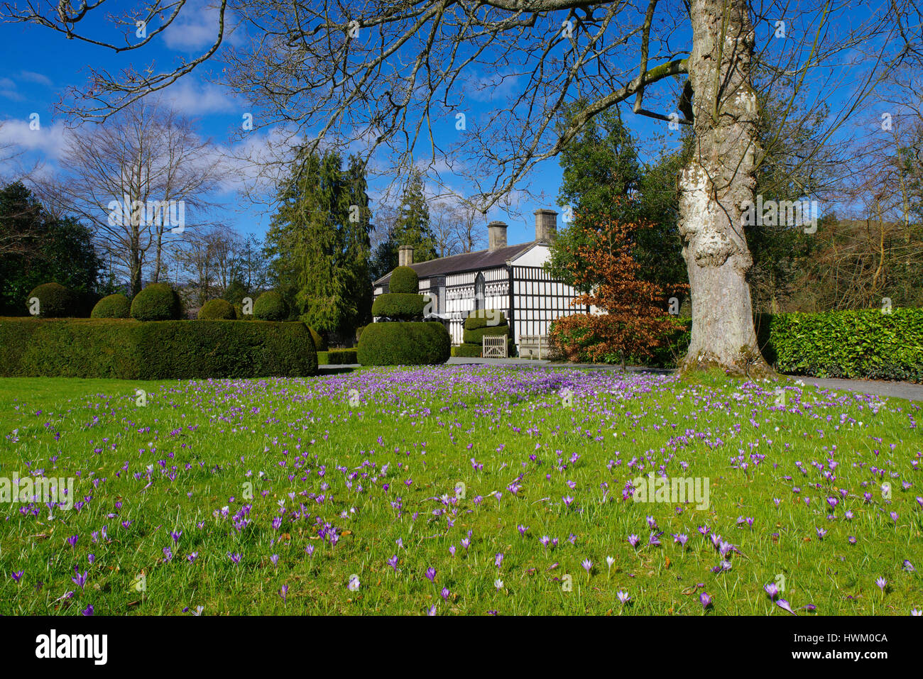 Plas home ladies llangollen lady hi-res stock photography and images ...