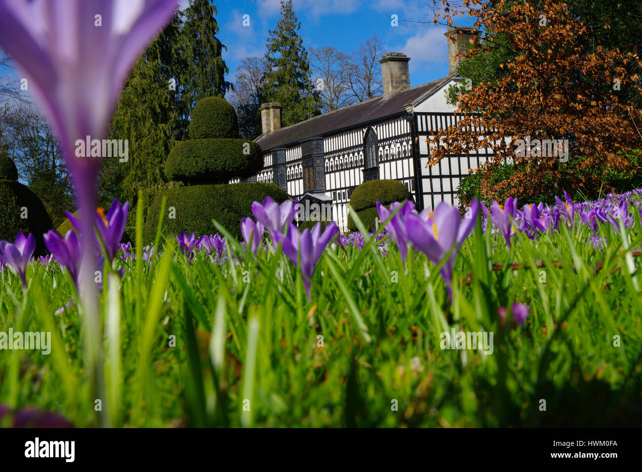 Plas Newydd Llangollen Stock Photo - Alamy
