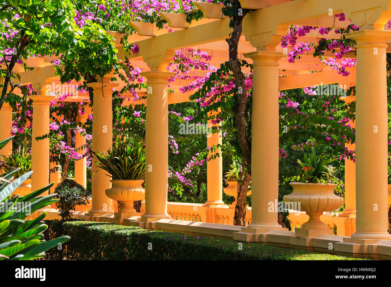 Column antique yellow and purple flowers,luxurious interior, design ...