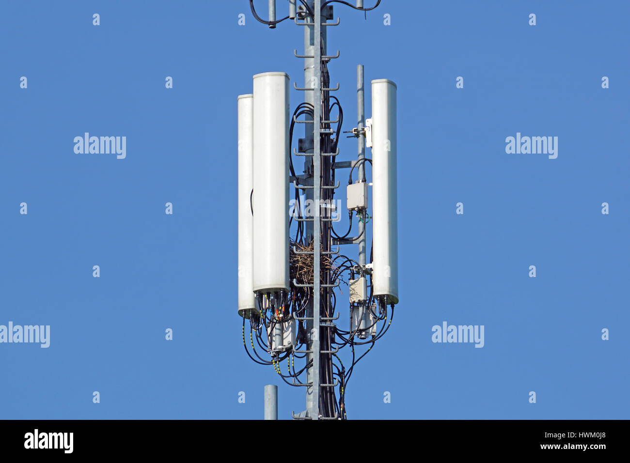 antenna for mobile cellular Stock Photo - Alamy